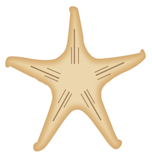 Official Website | Stella Di Mare Grand Hotel | Best 5-Star Hotel In ...